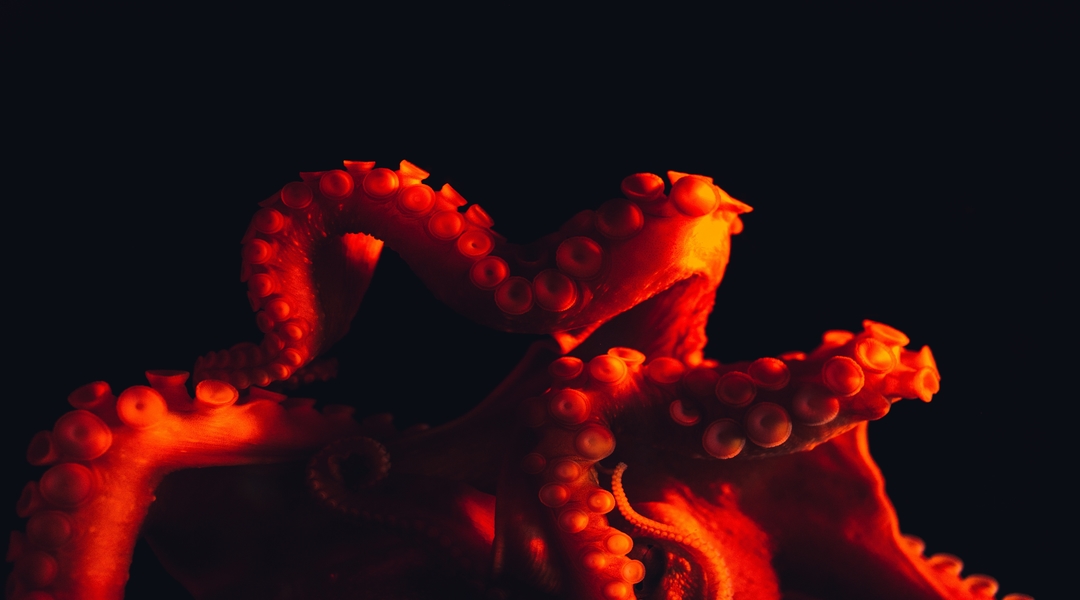Are ‘Water Spirits’ for Real? The Truth About Marine Demons - Jennifer ...