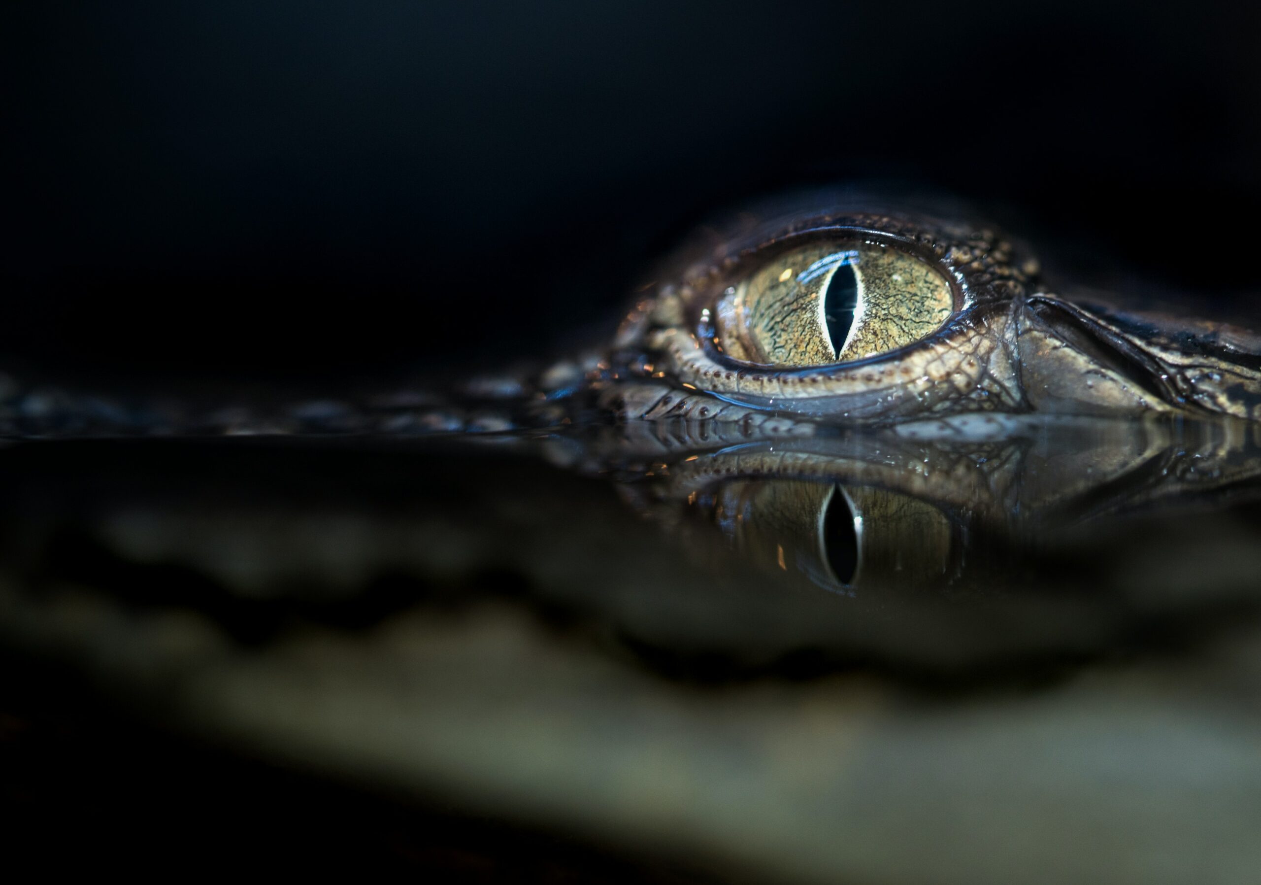 Prayers to Crush the Heads of Leviathan - Jennifer LeClaire Ministries