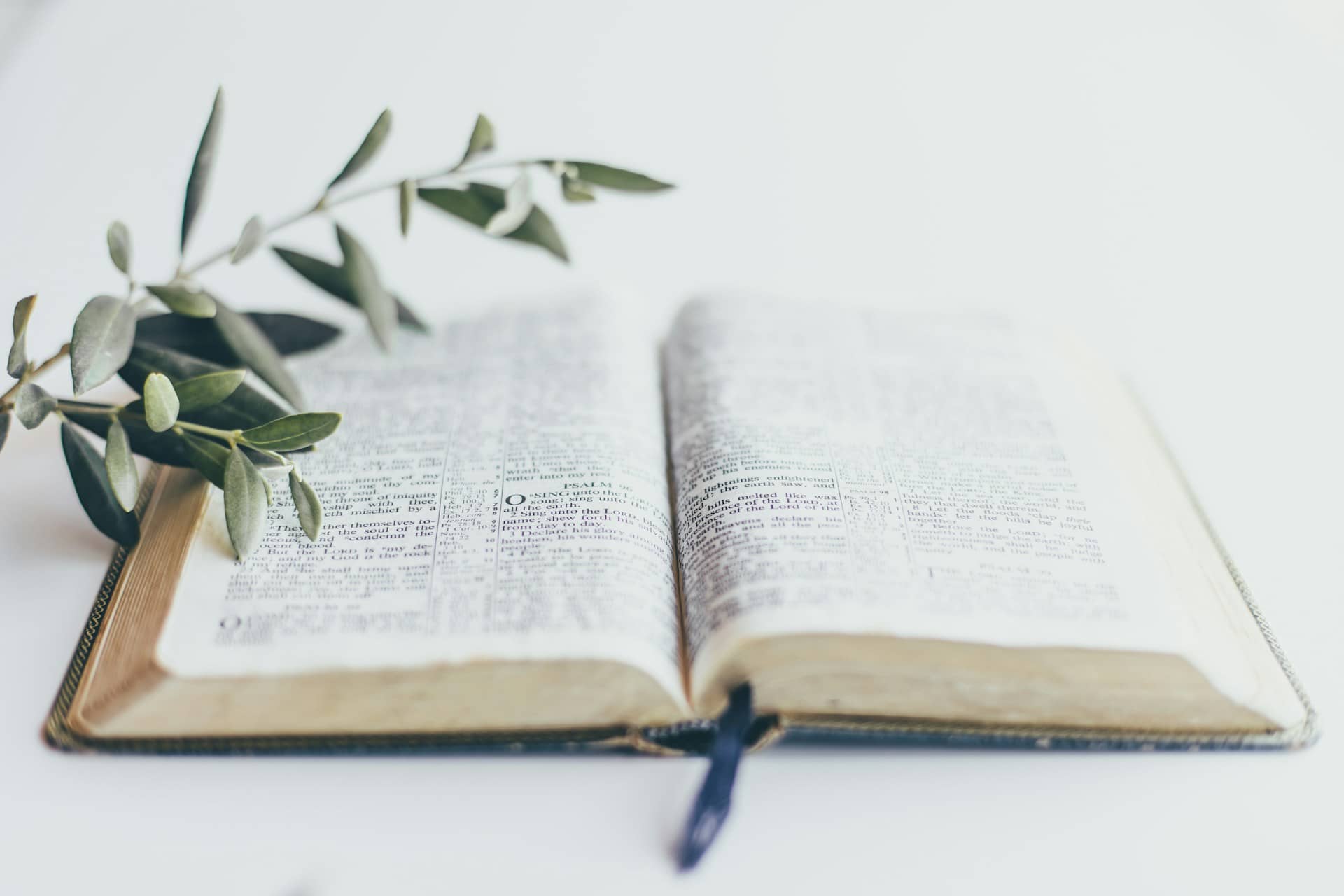 Speak the Word Only: The Power of Speaking and Praying the Word Over ...